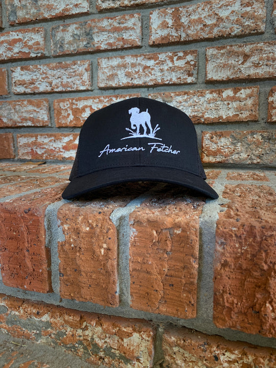 All Black - Pointer – American Fetcher